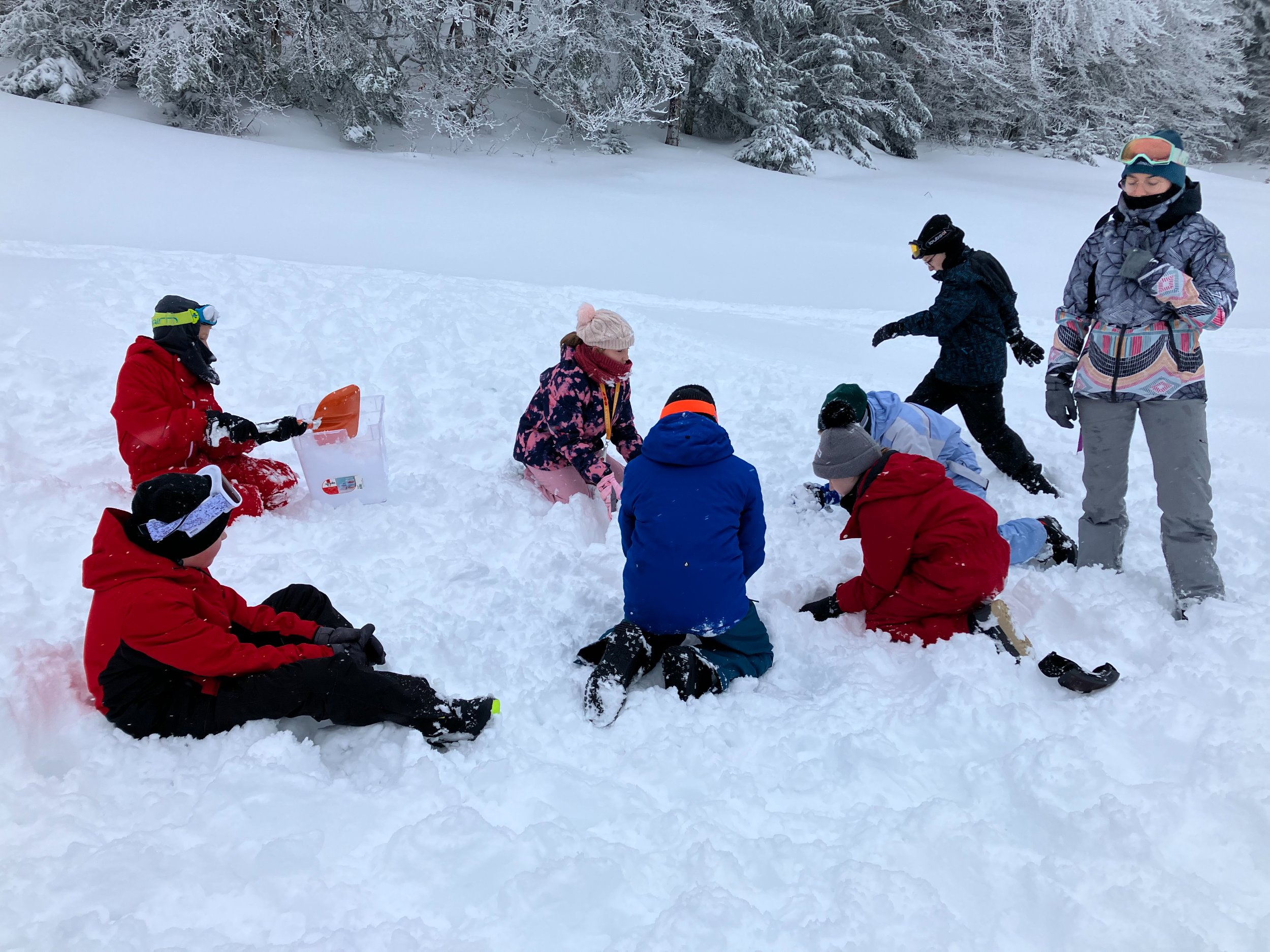 Classe de neige - École Henri Dès
